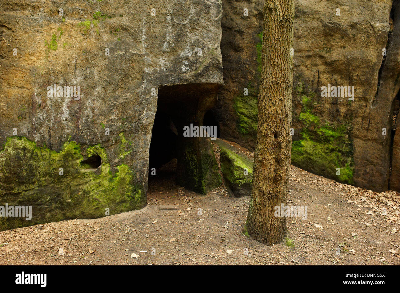 Peklo National Nature Monument Czech Republick Ceska Lipa Stock Photo ...