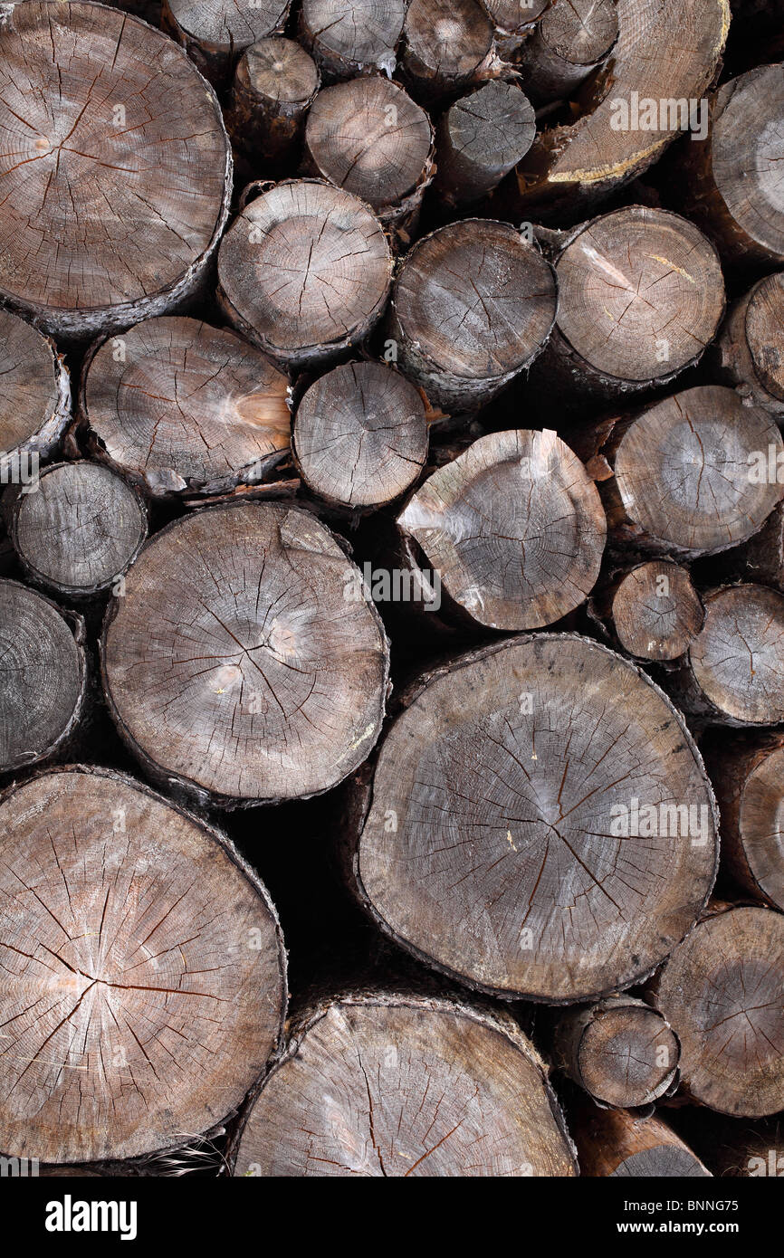 Worming trunk hi-res stock photography and images - Alamy