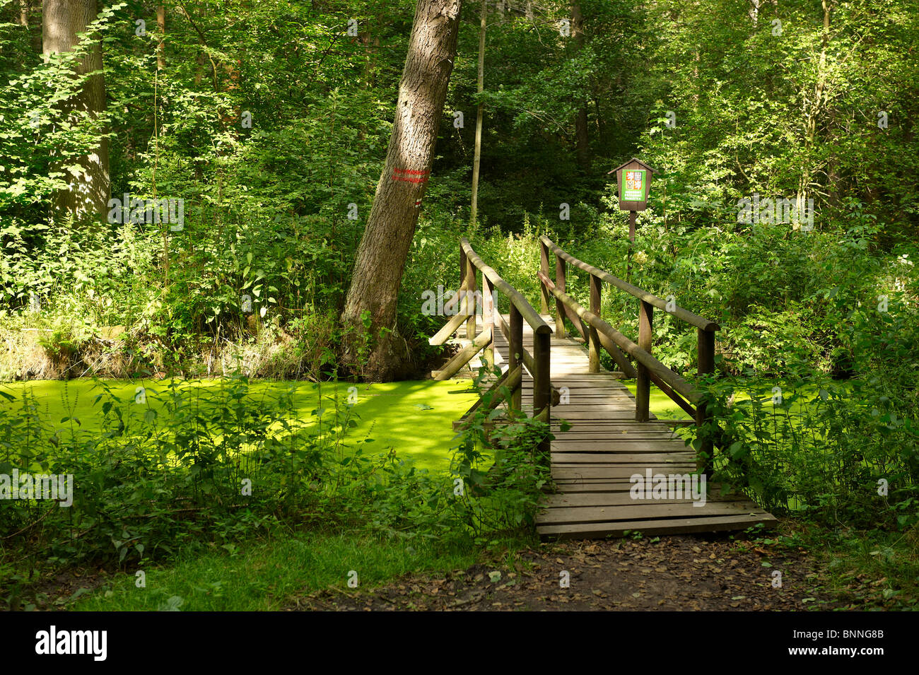 Peklo National Nature Monument Czech Republick Ceska Lipa Stock Photo ...