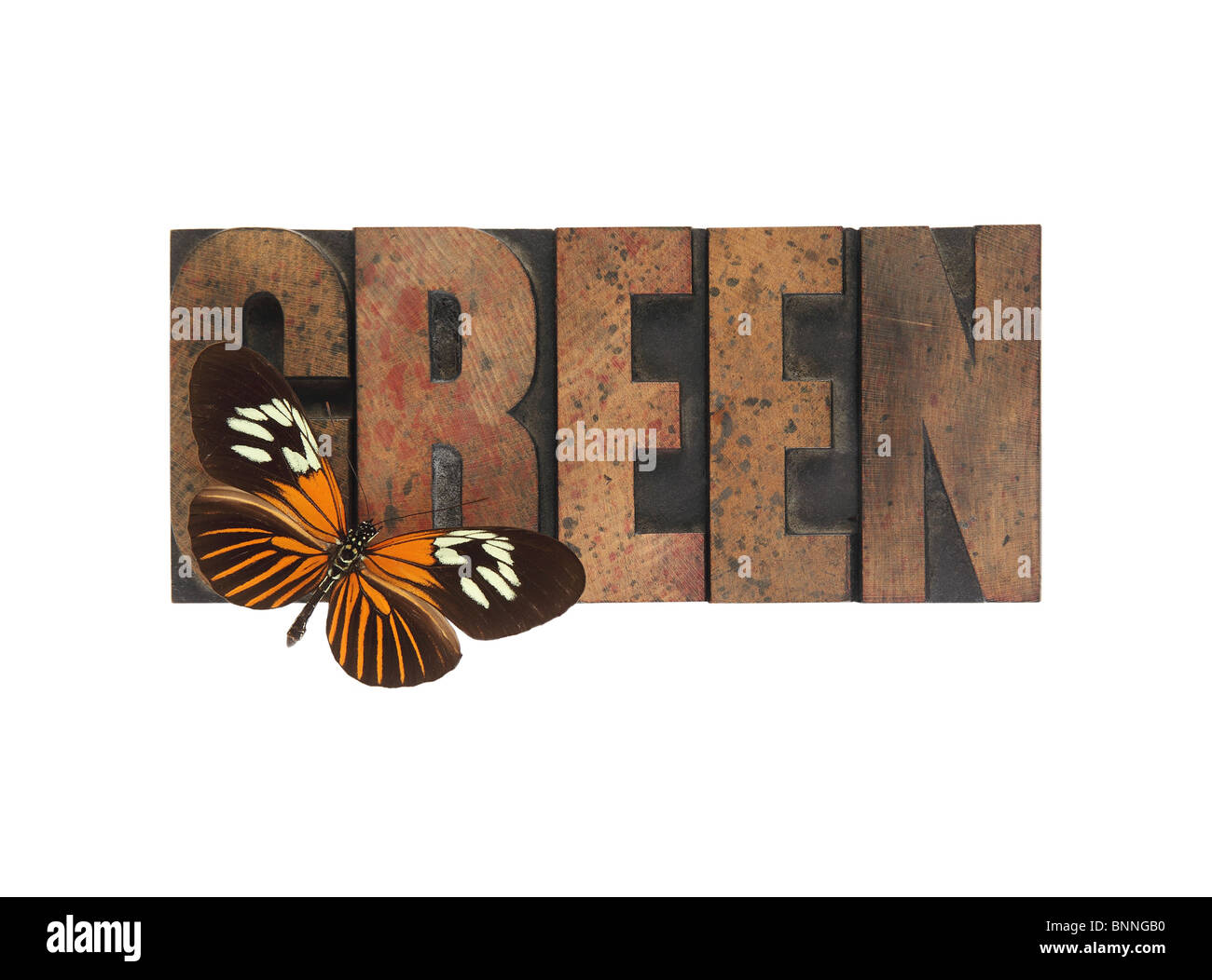 Butterfly word Cut Out Stock Images & Pictures - Alamy