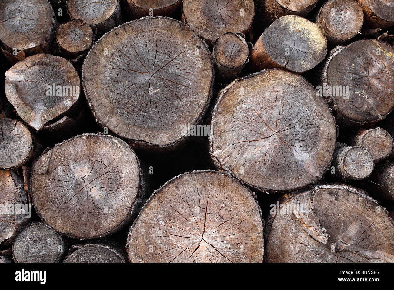 Stack wood tree log logs fuel Stock Photo - Alamy