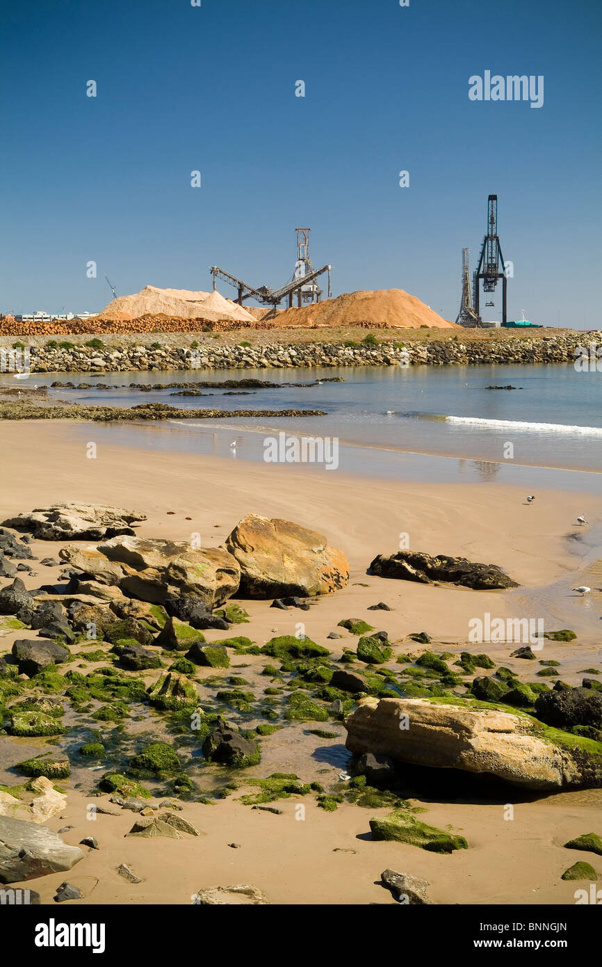 Timber yards hi-res stock photography and images - Alamy