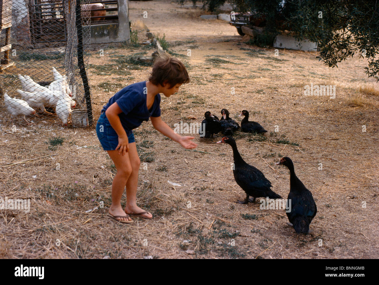 Italy Tuscany Autistic Child On Farm Visit Relates To Animals Better ...