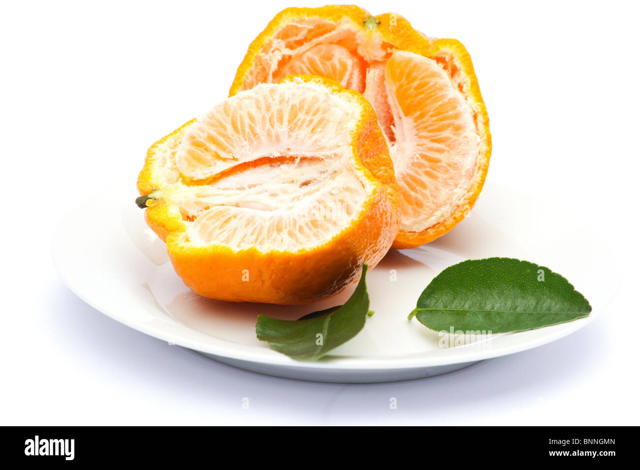 Citrus poonensis hi-res stock photography and images - Alamy
