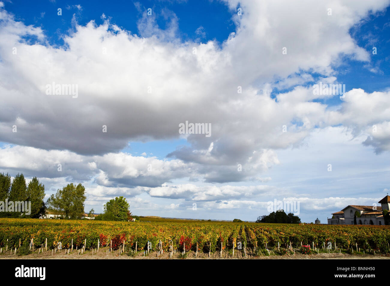 Pauillac france hi-res stock photography and images - Alamy
