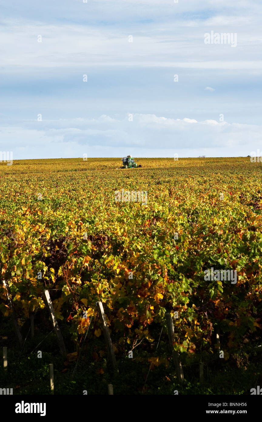 Pauillac france hi-res stock photography and images - Alamy
