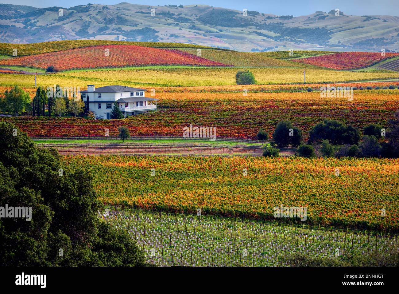 Napa valley hi-res stock photography and images - Alamy