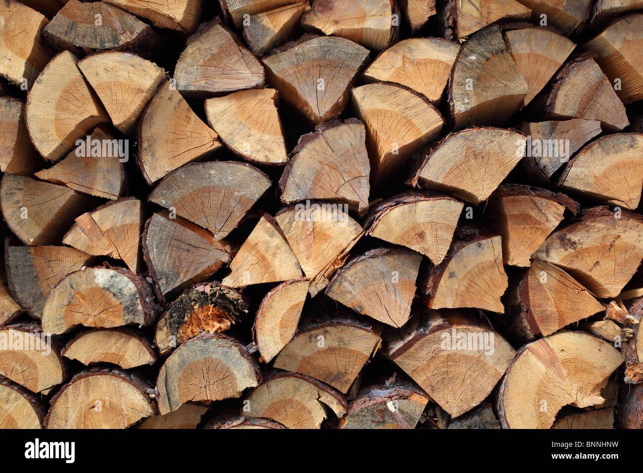 Stack wood tree log logs Stock Photo - Alamy