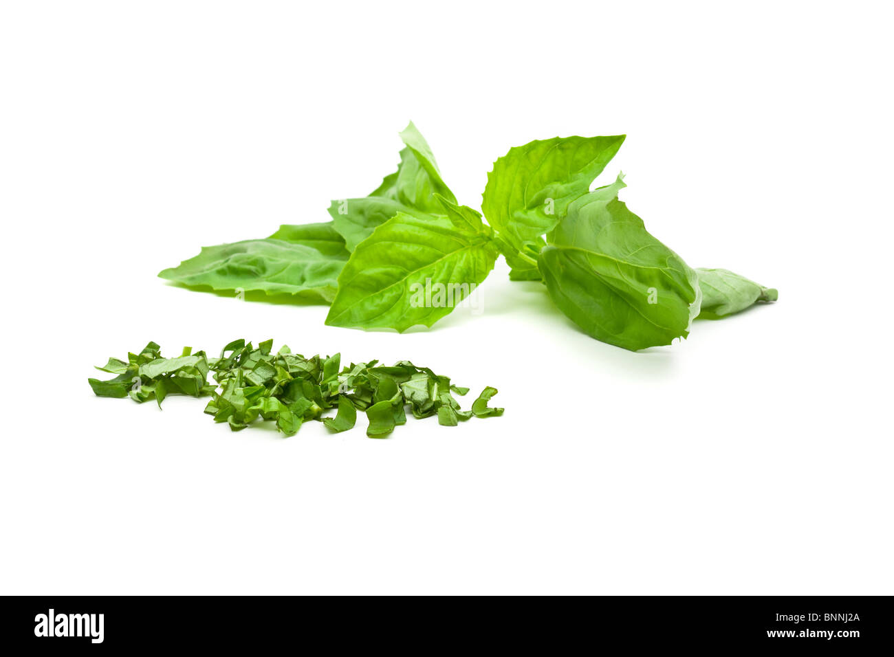 Cut and whole basil leaves over white background Stock Photo - Alamy