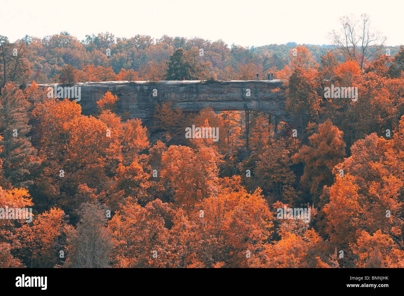 Natural Bridge Natural Bridge State Resort Park Kentucky USA America ...