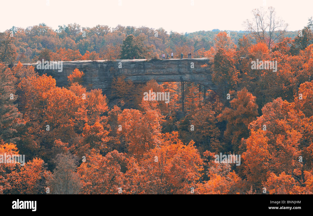 Natural Bridge Natural Bridge State Resort Park Kentucky USA America ...