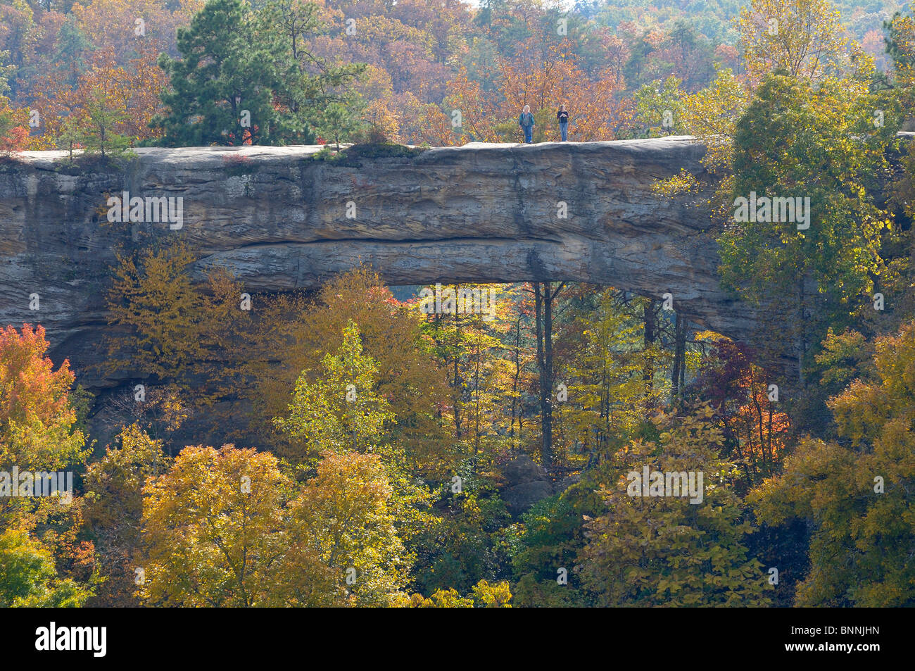 Natural Bridge Natural Bridge State Resort Park Kentucky USA America ...