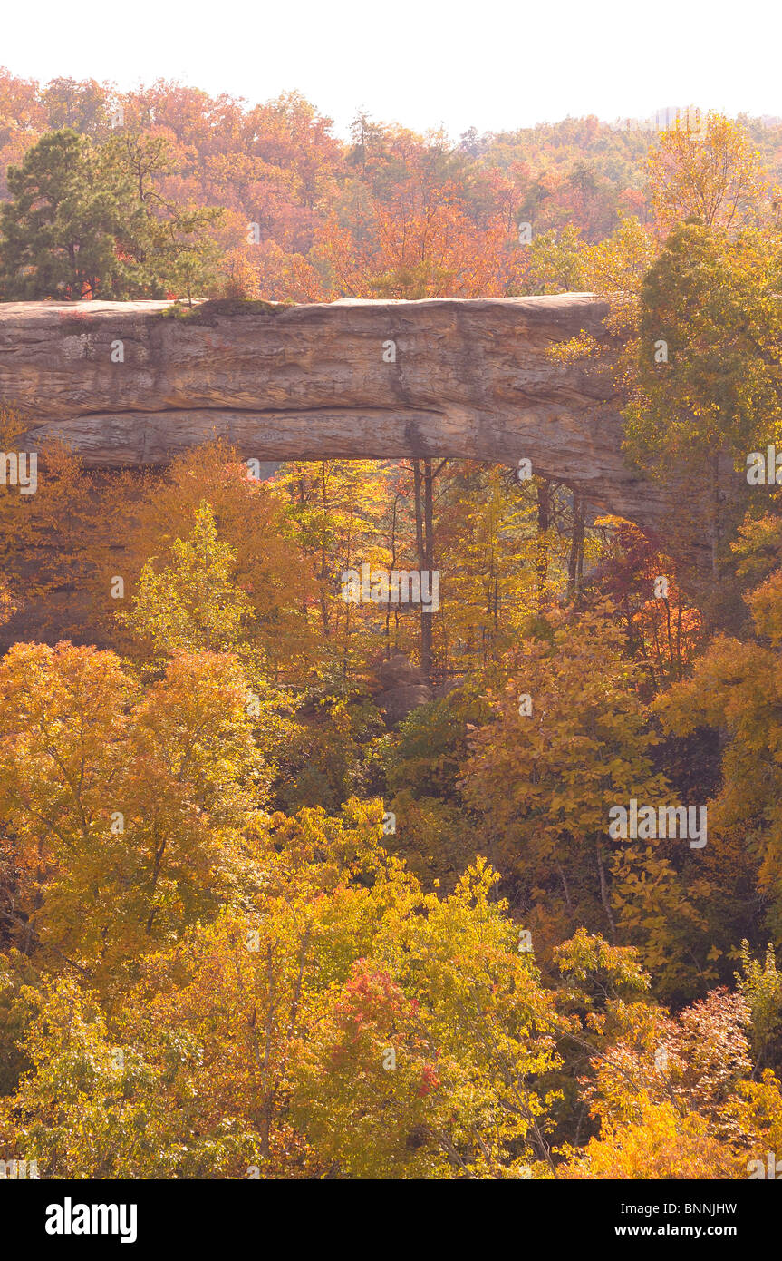Natural Bridge Natural Bridge State Resort Park Kentucky USA America ...