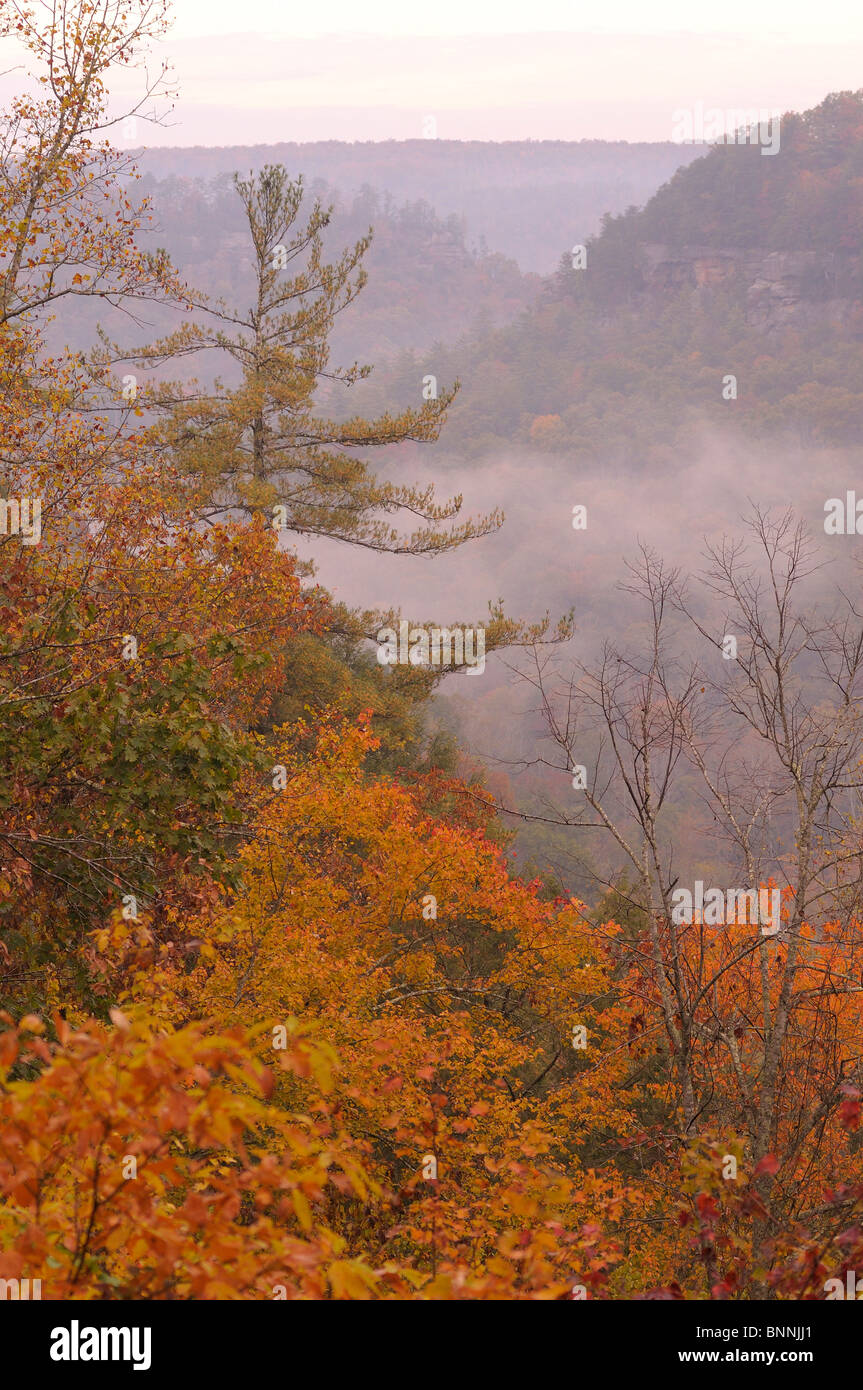 Natural Bridge State Resort Park Kentucky USA America United States of ...
