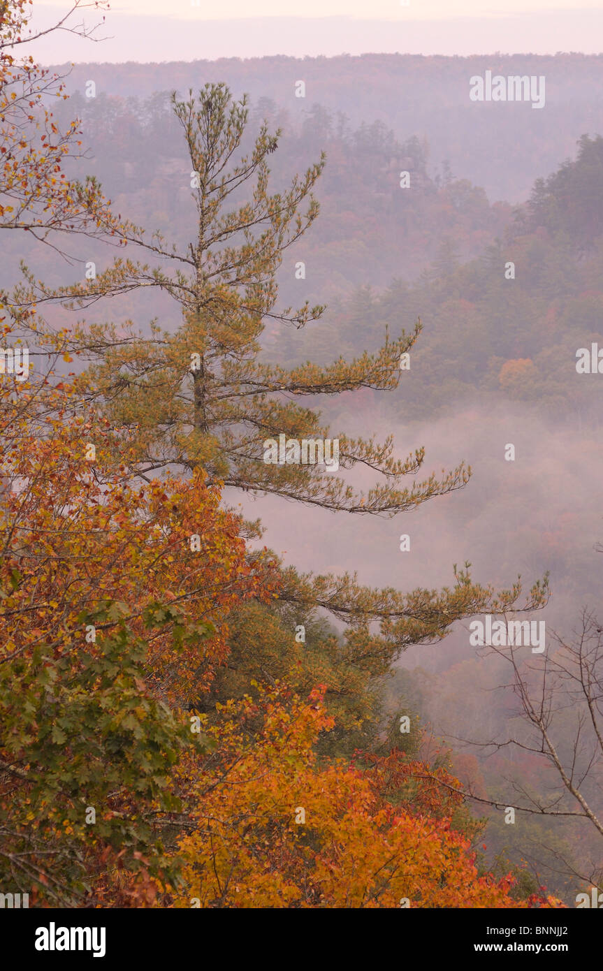 Natural Bridge State Resort Park Kentucky USA America United States of ...