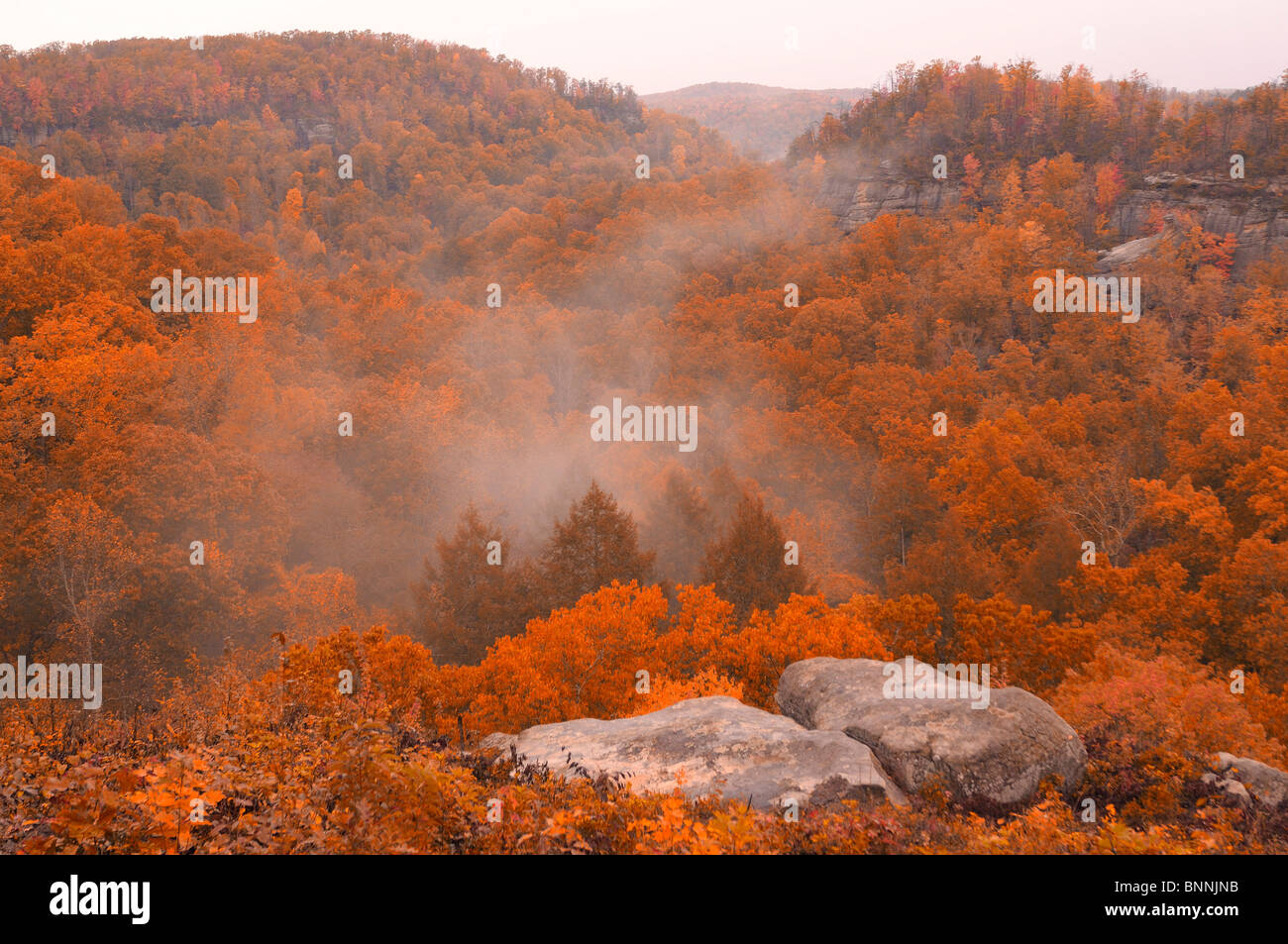 Forest Natural Arch Fall colours colors Daniel Boone National Forest ...