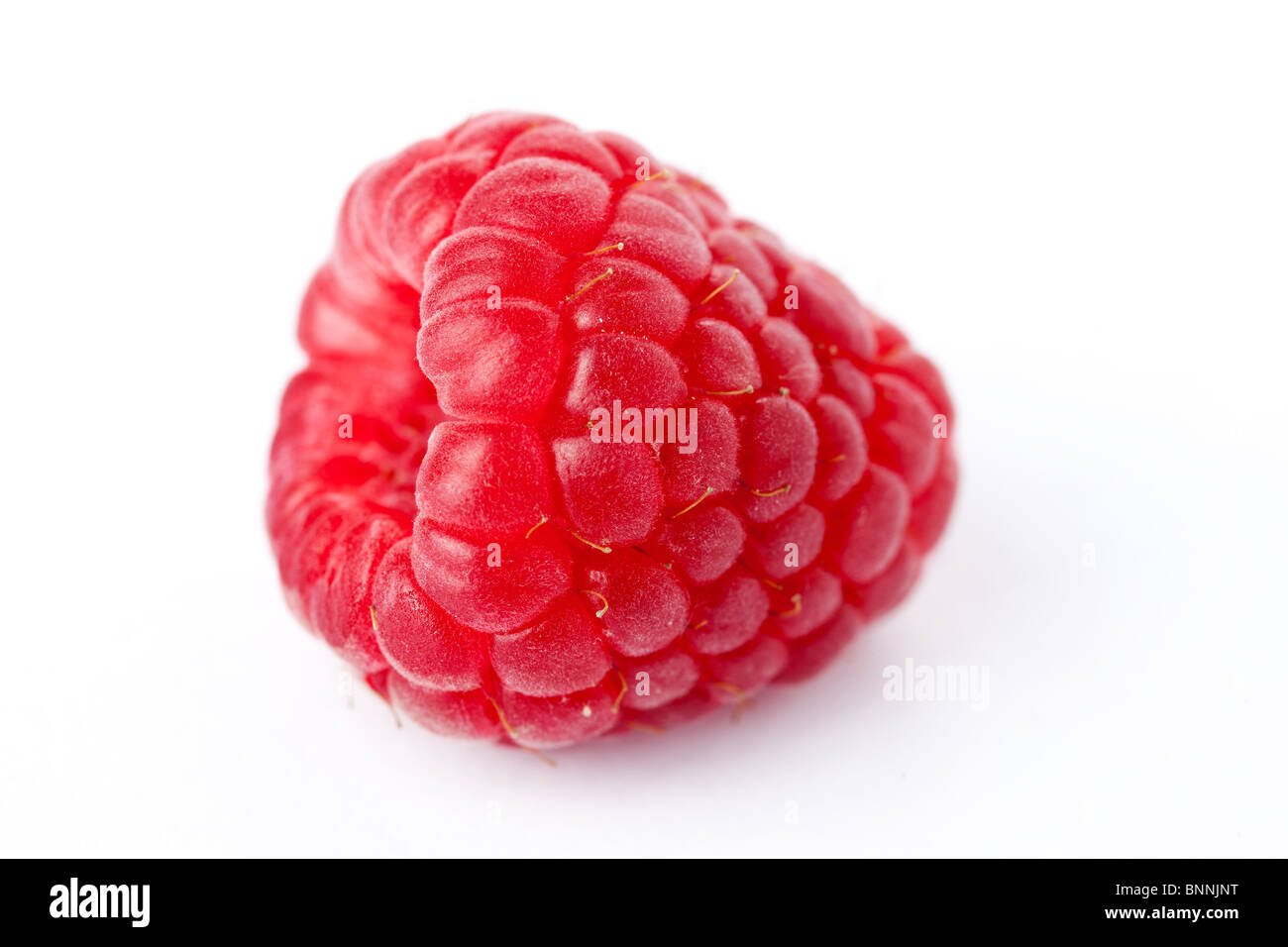 red raspberry on white background Stock Photo - Alamy