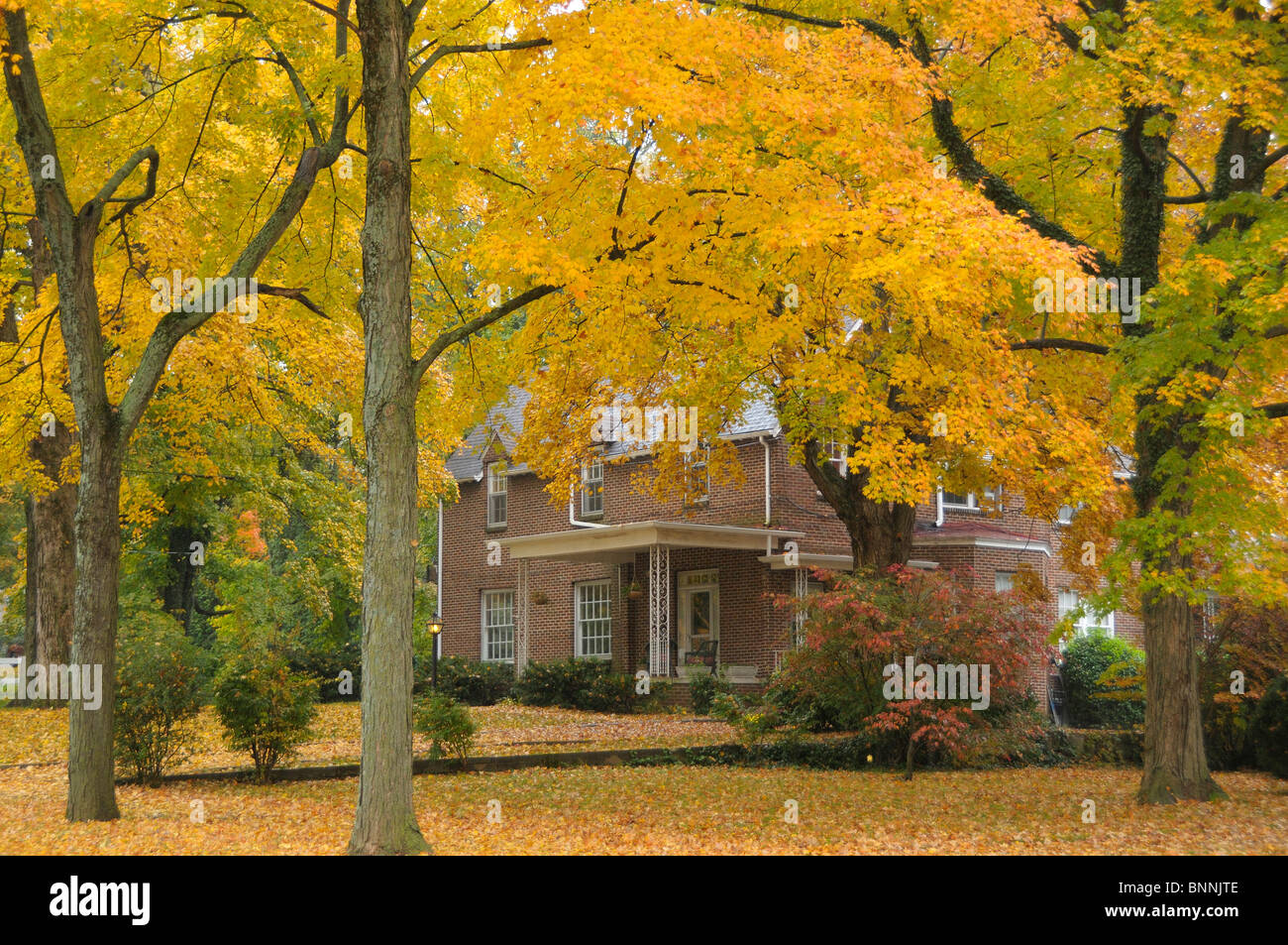 Russellville kentucky hi-res stock photography and images - Alamy