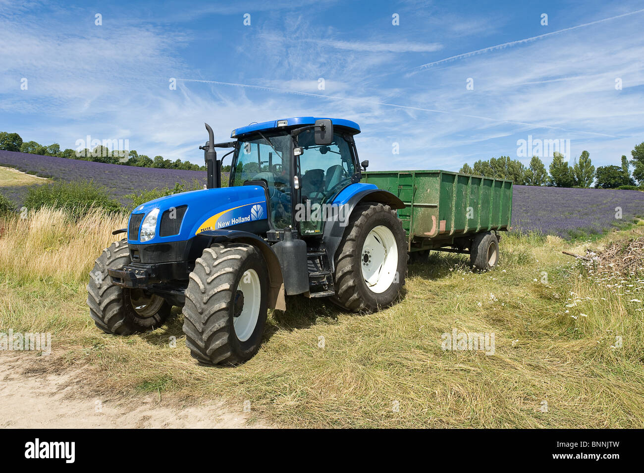 Farming in the countryside in the summer Stock Photo - Alamy