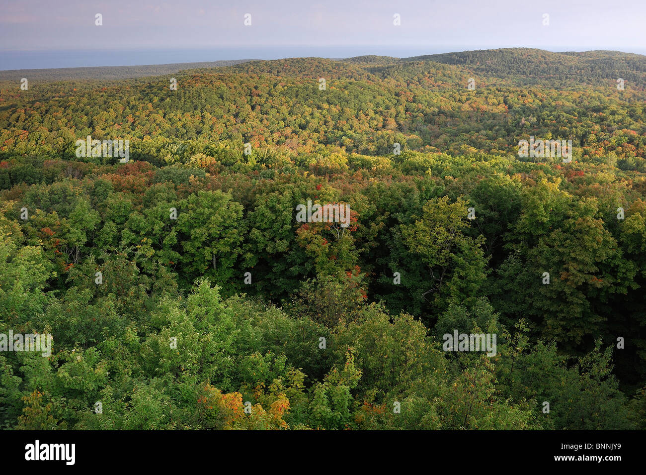 from Summit Peak forest trees Superior nature Porcupine Mountains ...
