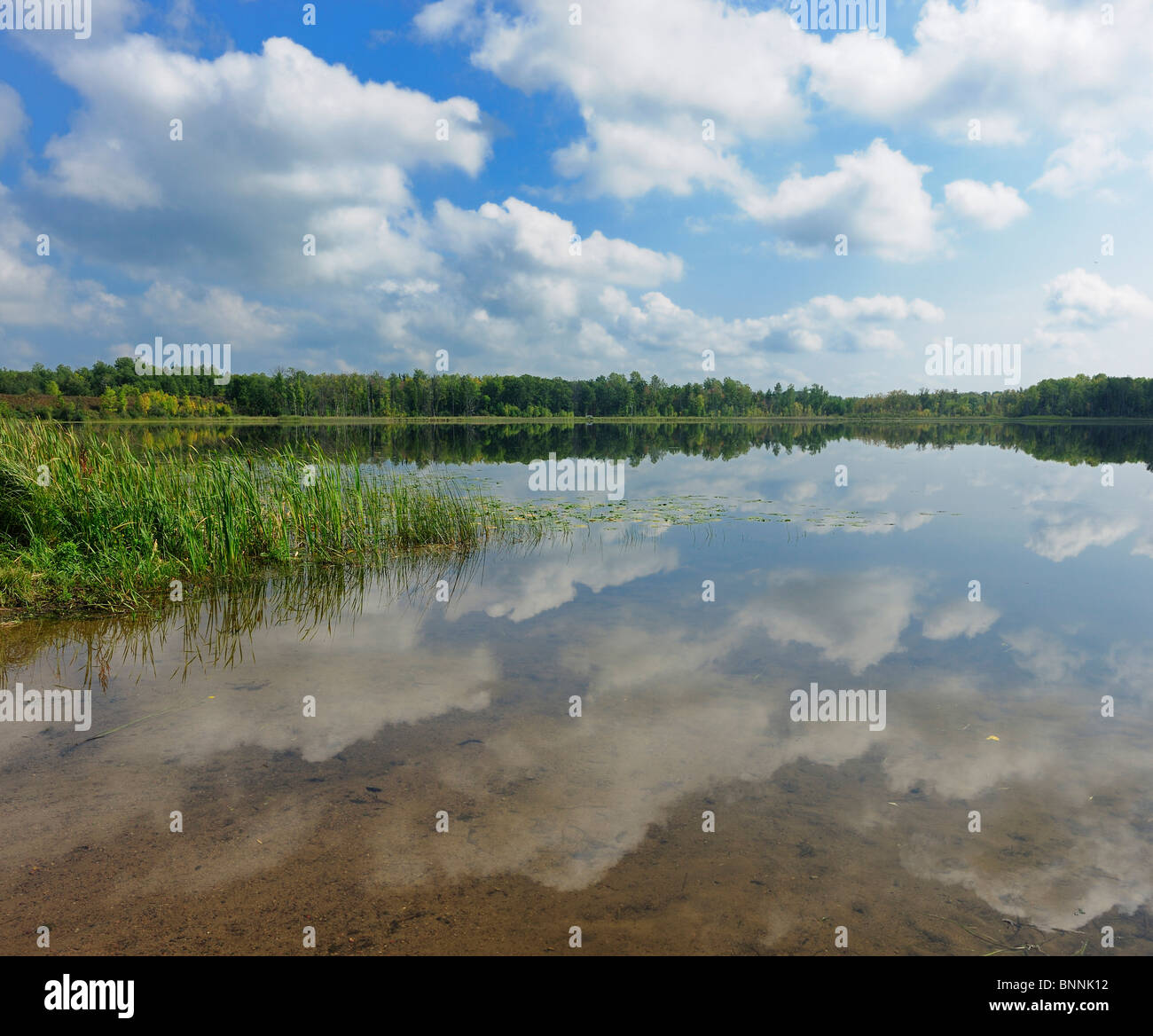 Lake Hibbing Minnesota USA America United States of America nature ...