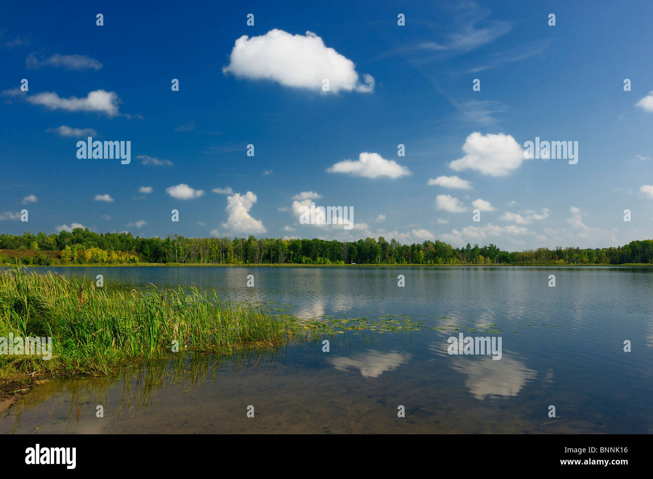 Lake Hibbing Minnesota USA America United States of America nature ...