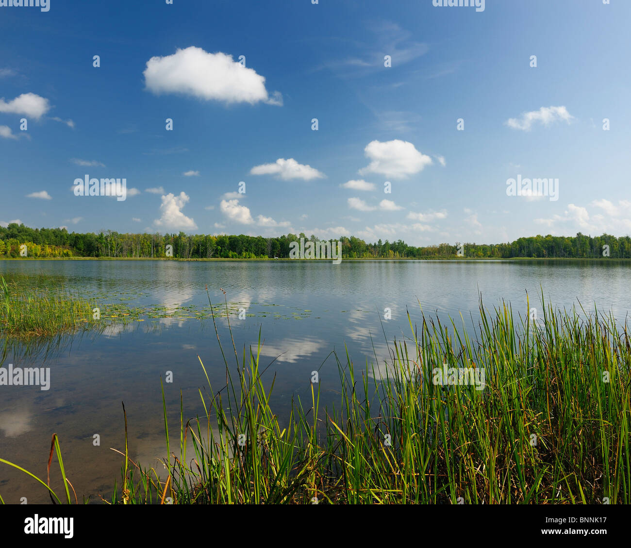 Lake Hibbing Minnesota USA America United States of America nature ...