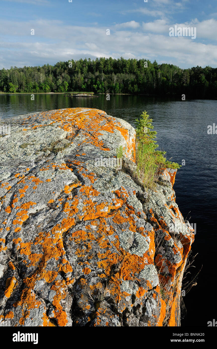 Lake Ash River Area Voyageur National Park Minnesota USA America United ...