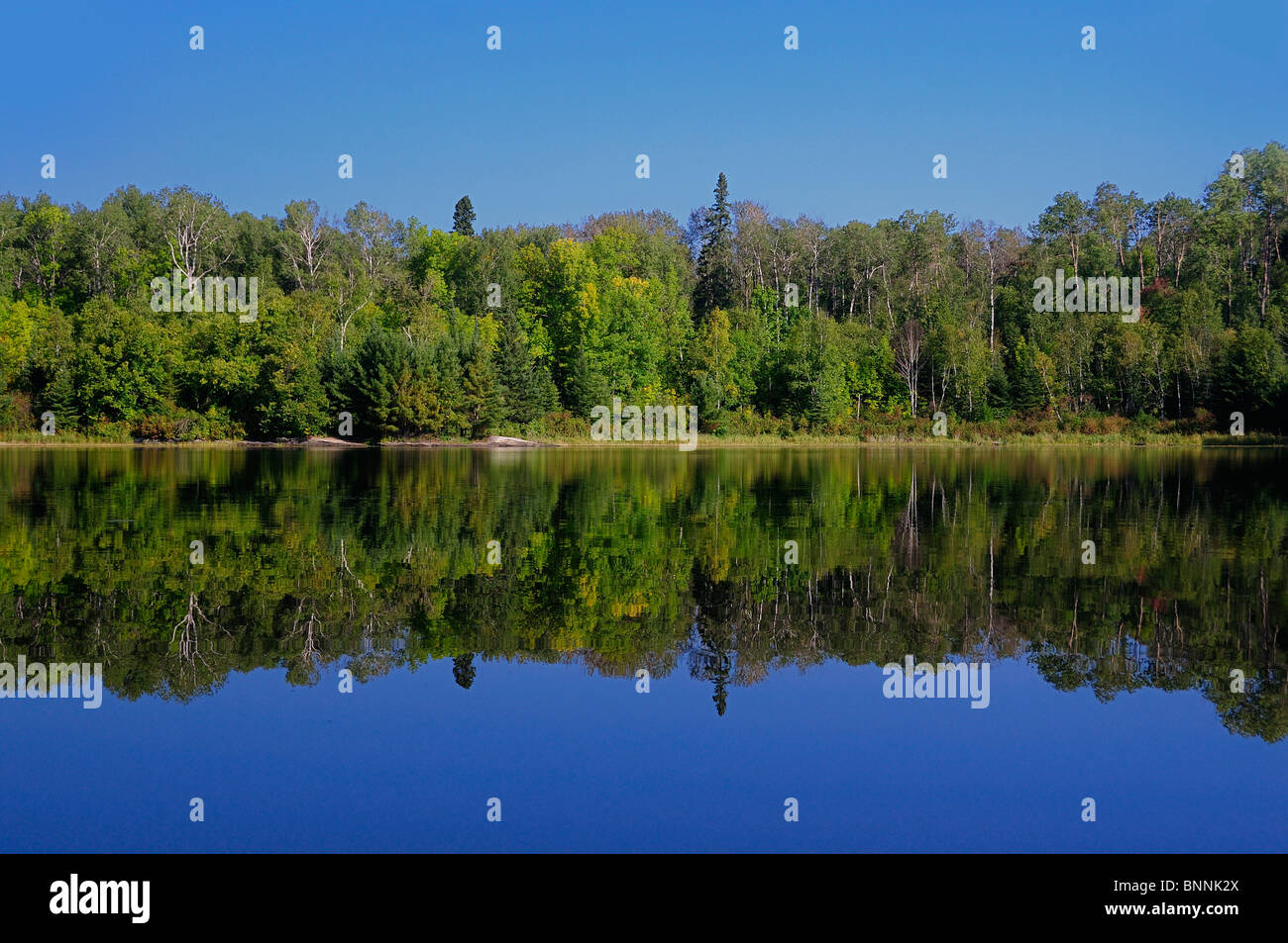 Lakes Ash River Area Voyageur National Park Minnesota USA America ...