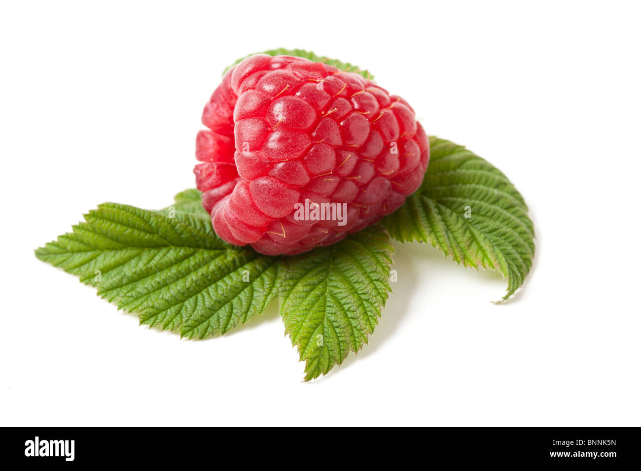 red raspberry on white background Stock Photo - Alamy