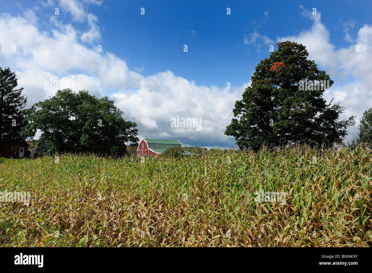 Portageville hi-res stock photography and images - Alamy