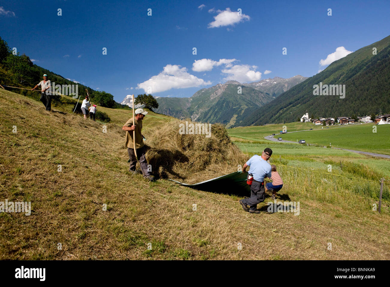 Switzerland swiss agriculture Goms make hay hay Obergestelen scenery ...