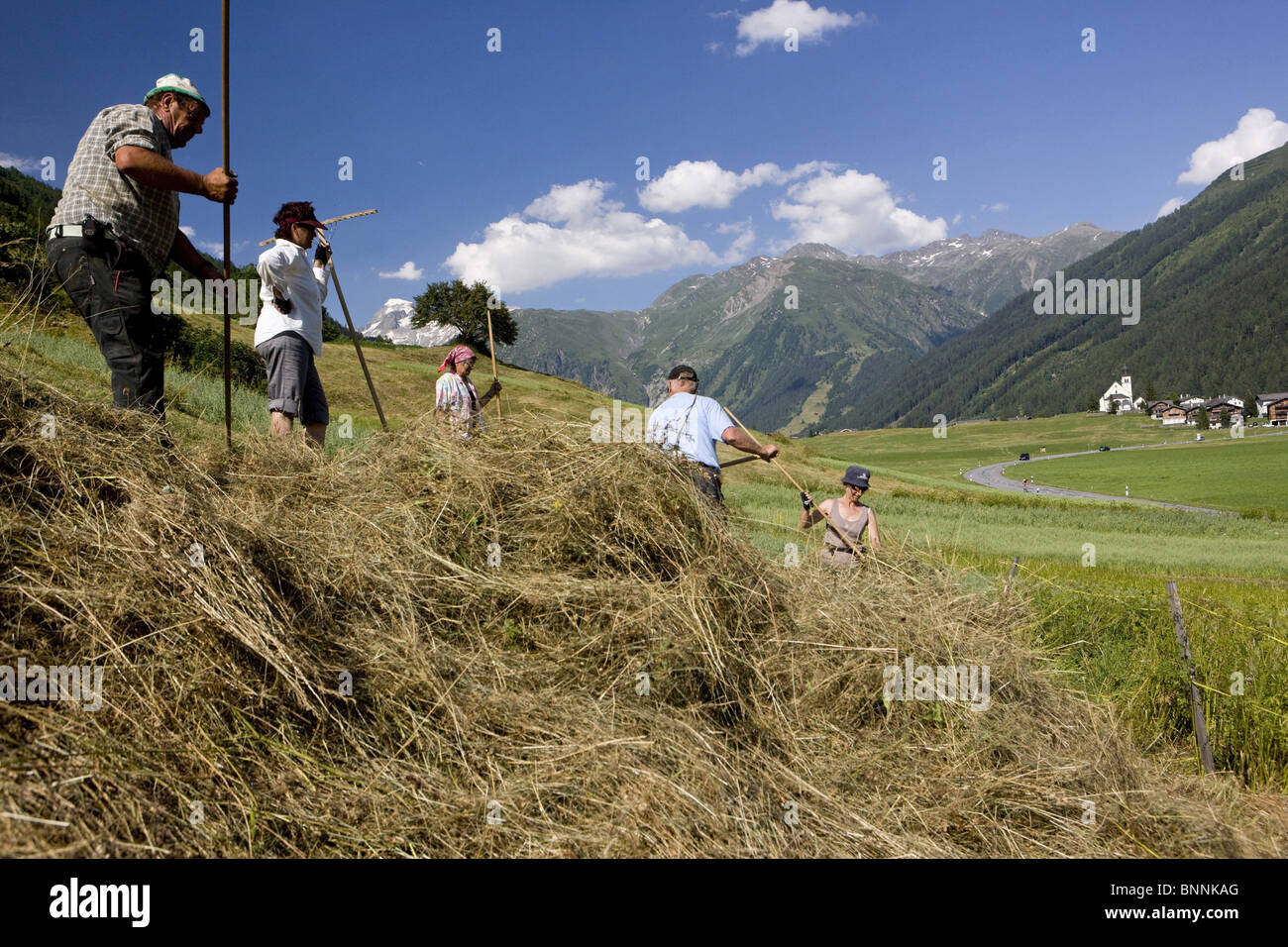 Switzerland swiss agriculture Goms make hay hay Obergestelen scenery ...