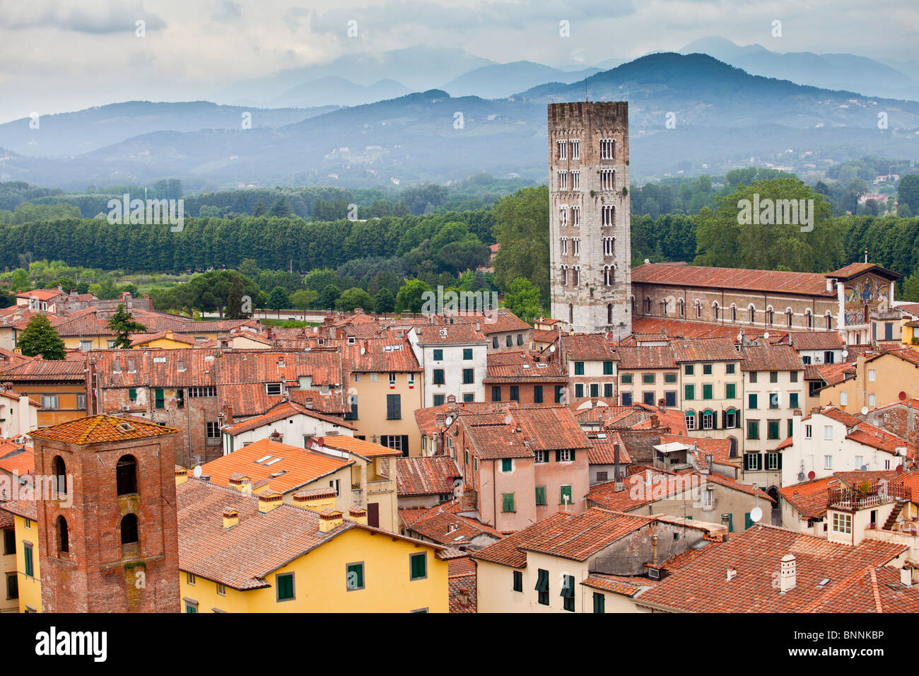 The skyline of Lucca taken from the top of the Guinigi Tower Stock ...