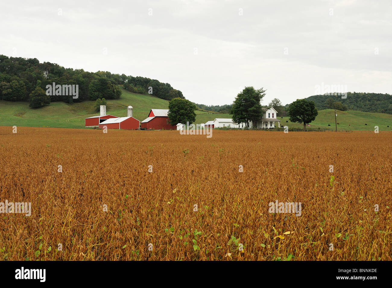 Laurelville hi-res stock photography and images - Alamy