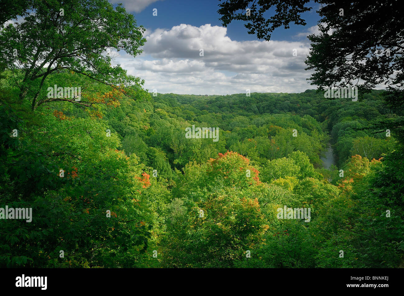 Tinkers Creek Gorge scenic forest nature overlook Cuyahoga Valley ...