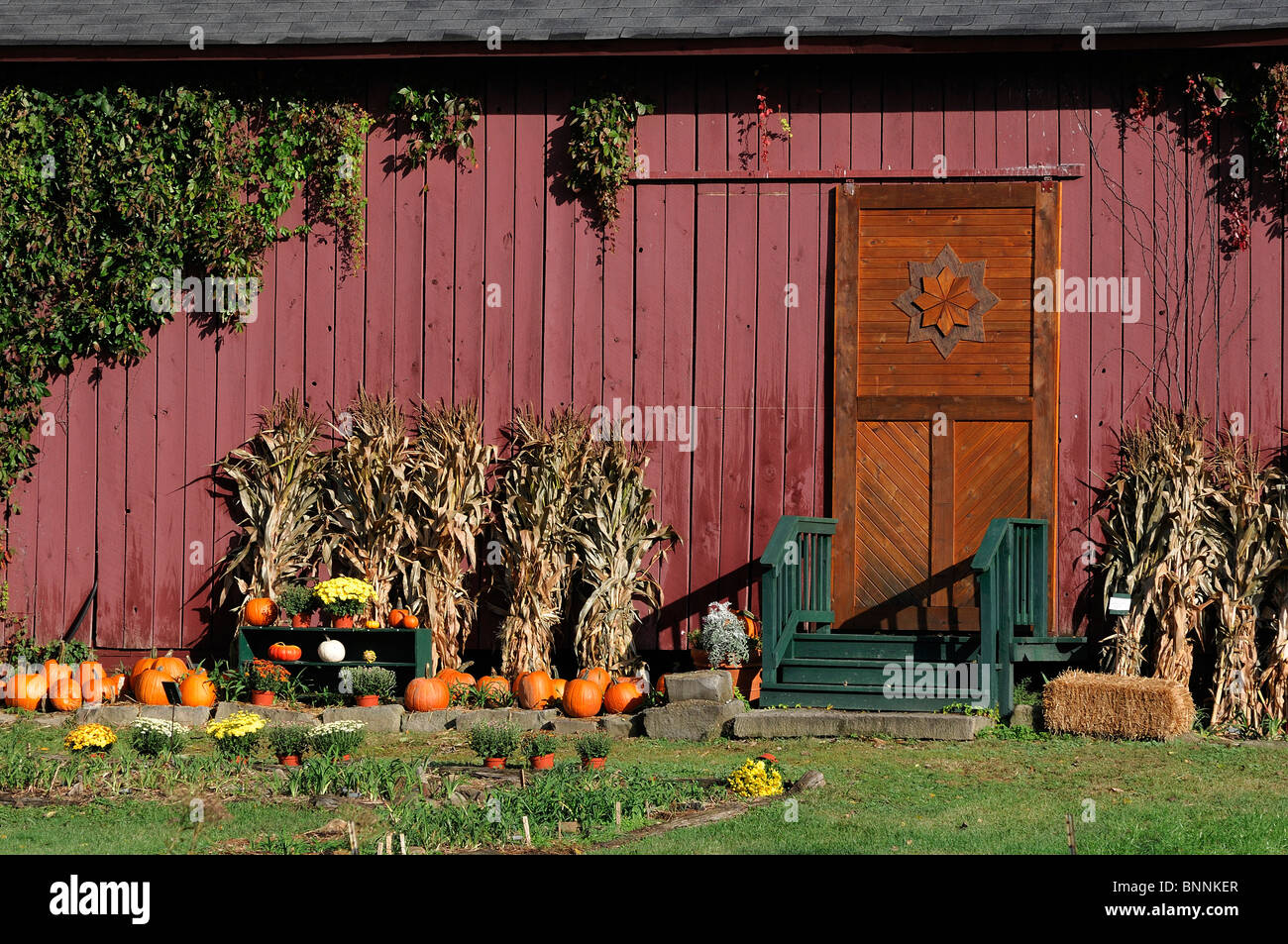 Farmers for hi-res stock photography and images - Alamy