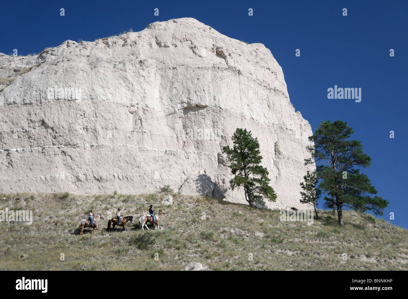 Horseback riding pine ridge pine hi-res stock photography and images ...