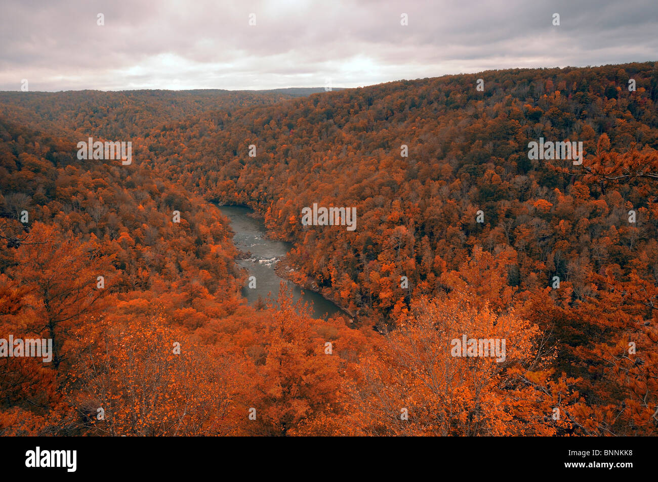East Rim Overlook River Fall colours colors Big South Fork National ...