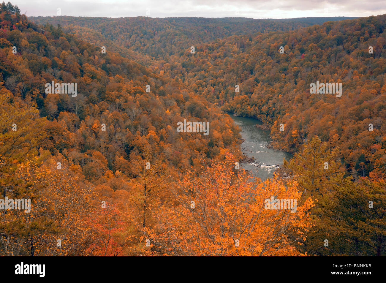 East Rim Overlook River Fall colours colors Big South Fork National ...