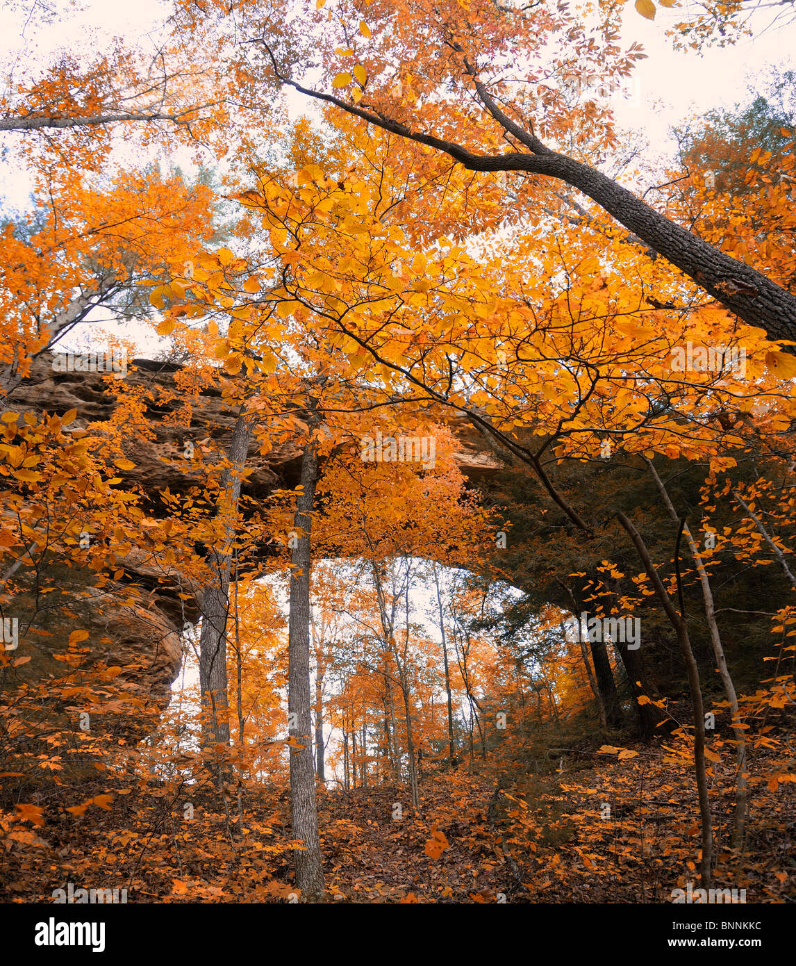 North Arch Twin Arches Fall colours colors Big South Fork National ...