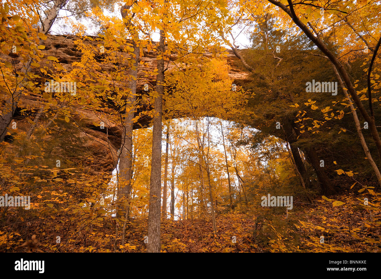 North Arch Twin Arches Fall colours colors Big South Fork National ...