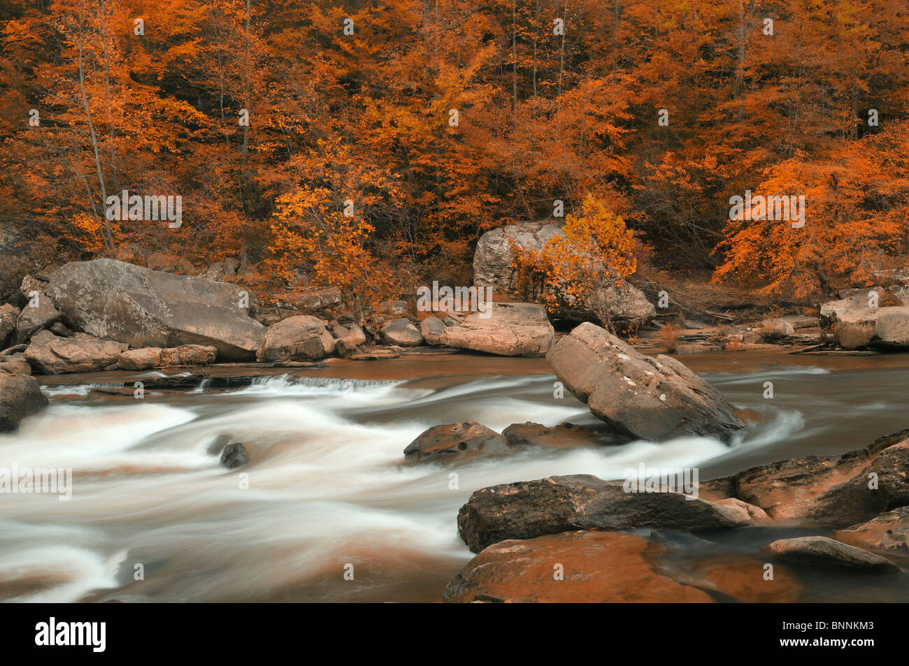 Trail Angel Falls Forest Fall colours colors Big South Fork National ...