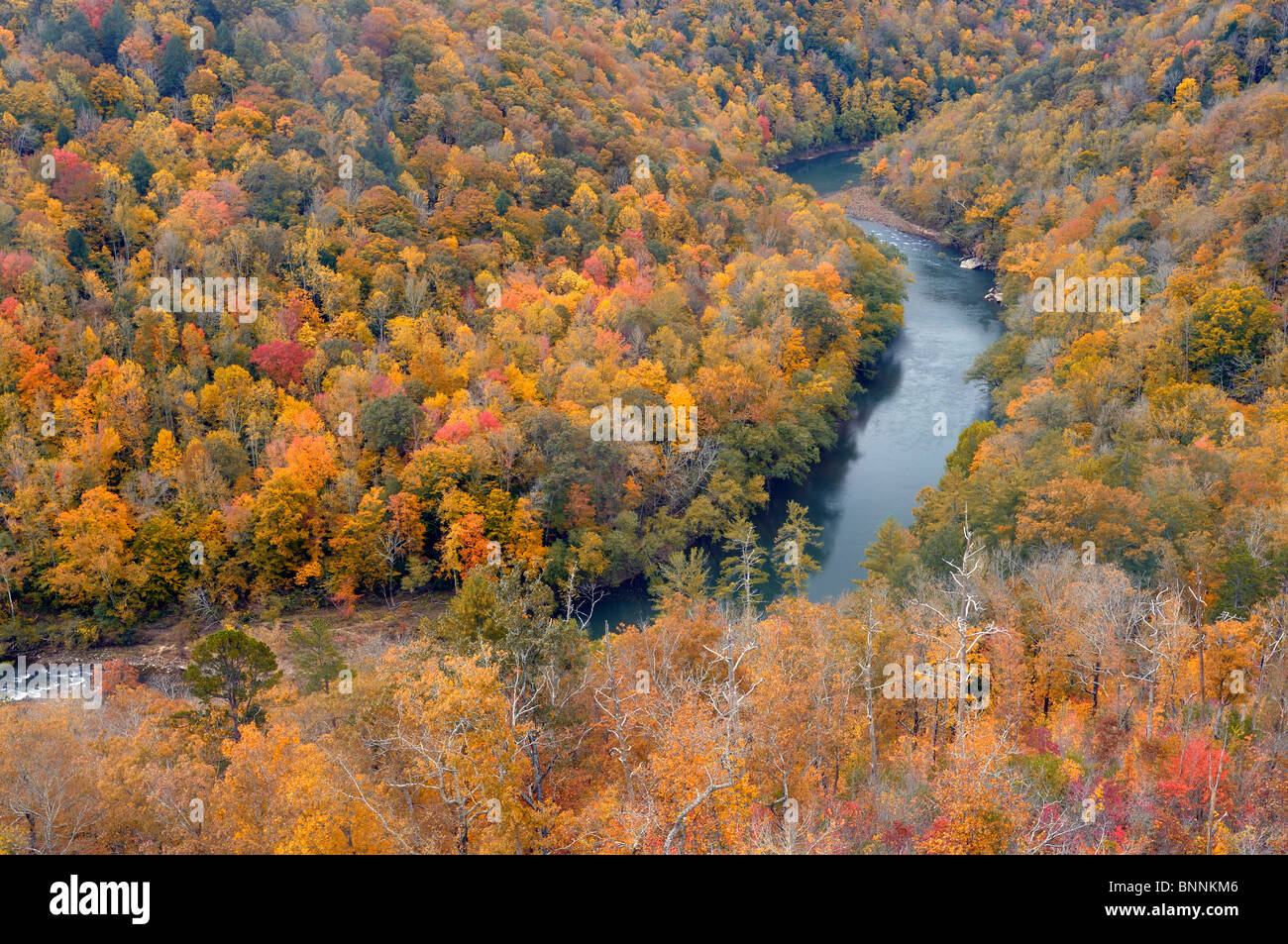 Trail Angel Falls Forest Fall colours colors Big South Fork National ...