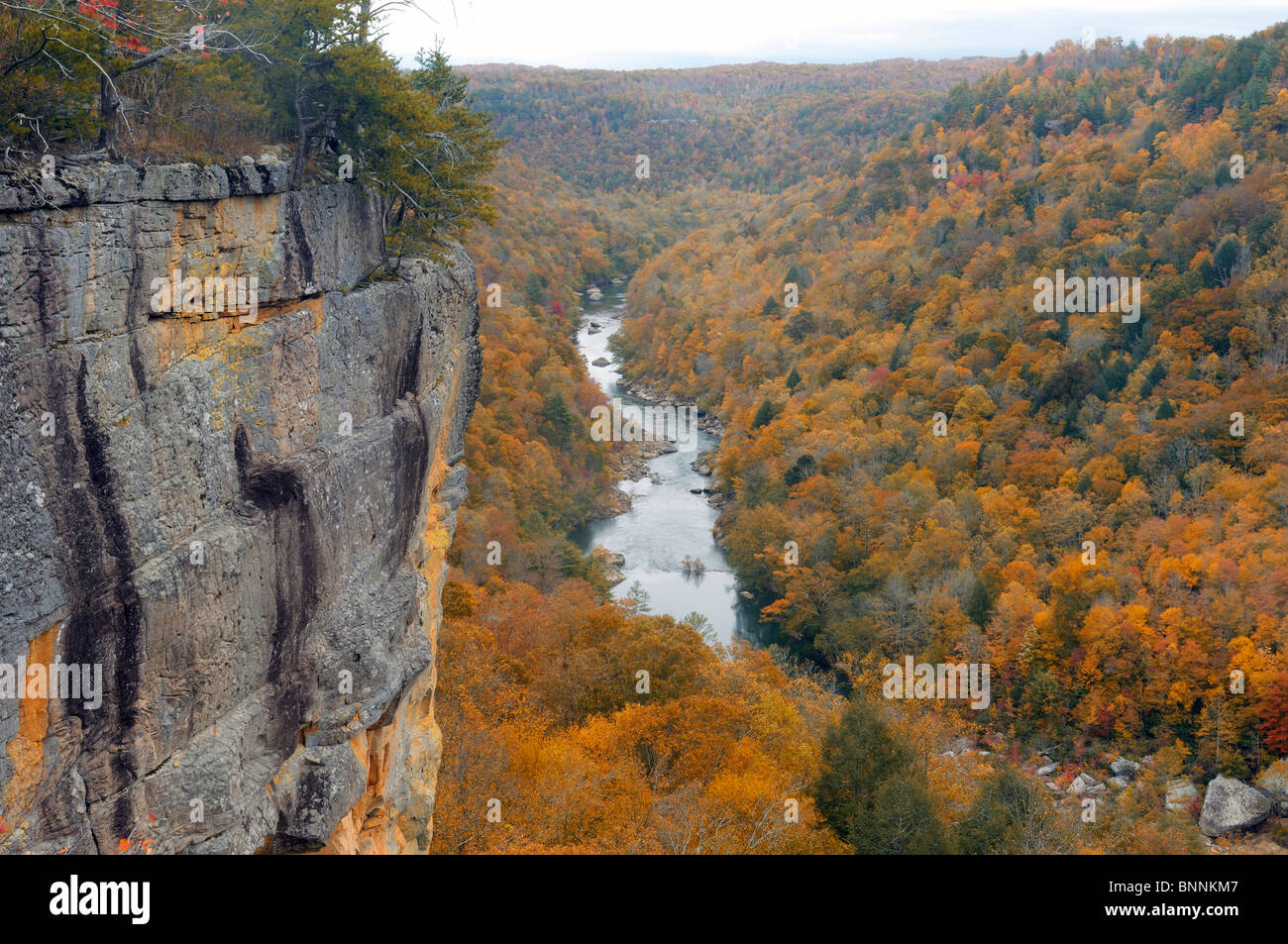 Trail Angel Falls Forest Fall colours colors Big South Fork National ...