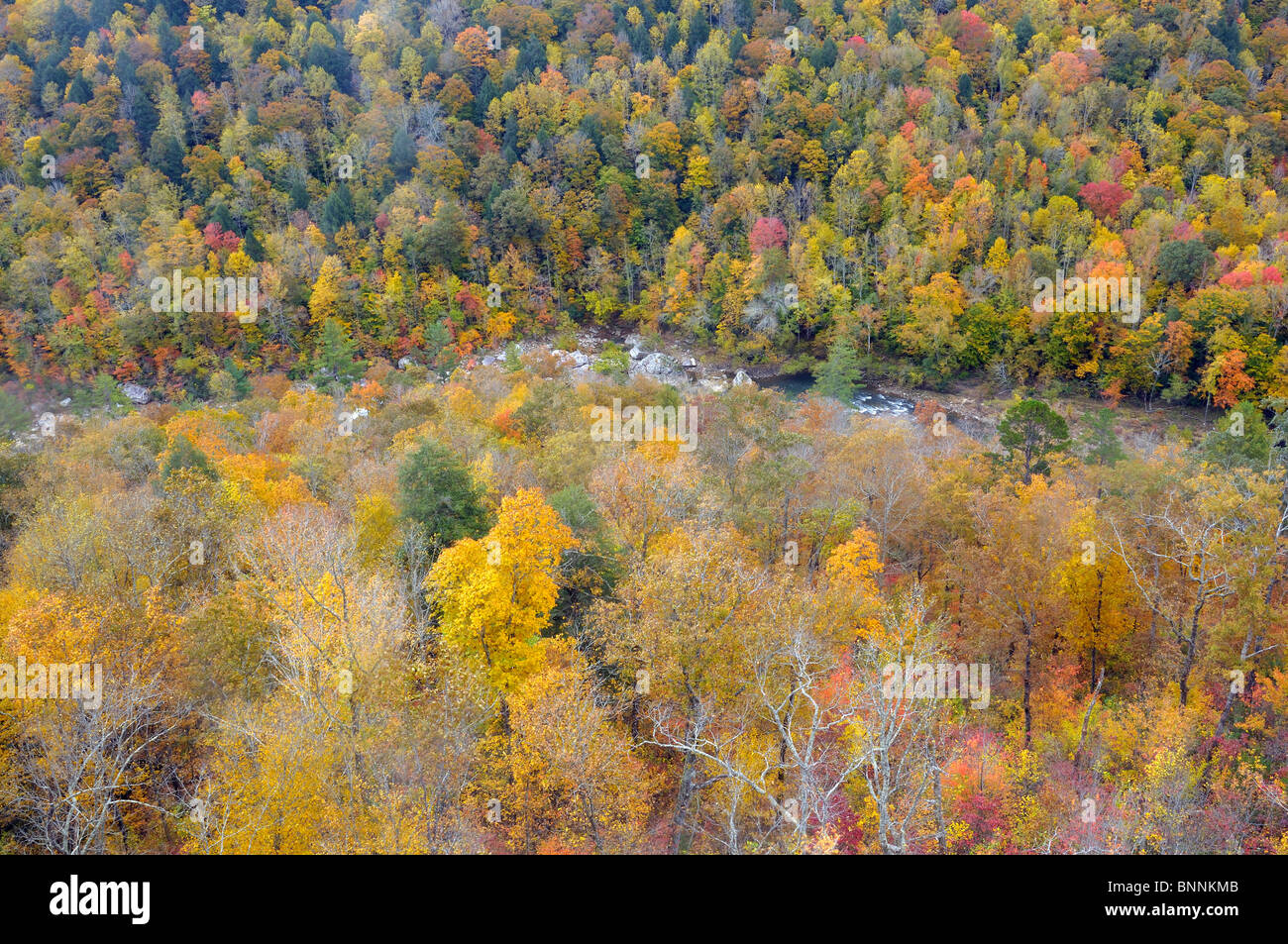 Trail Angel Falls Forest Fall colours colors Big South Fork National ...