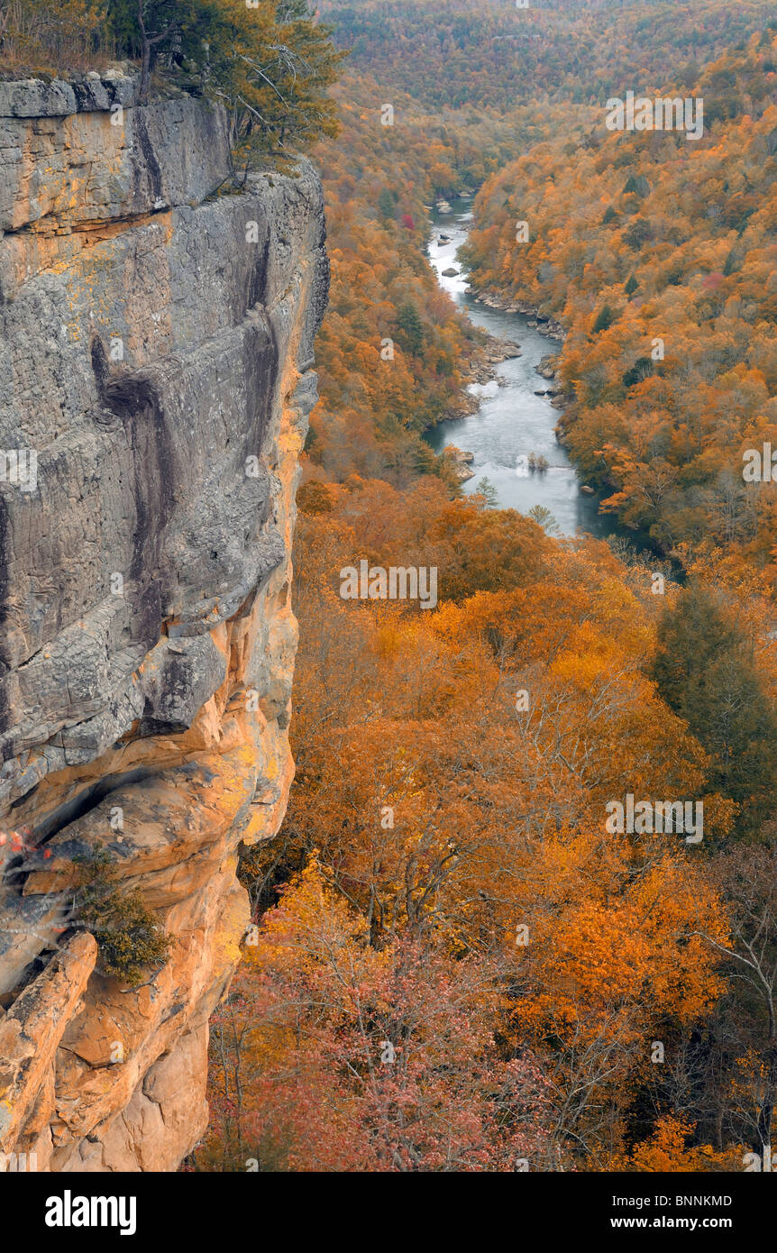 Trail Angel Falls Forest Fall colours colors Big South Fork National ...