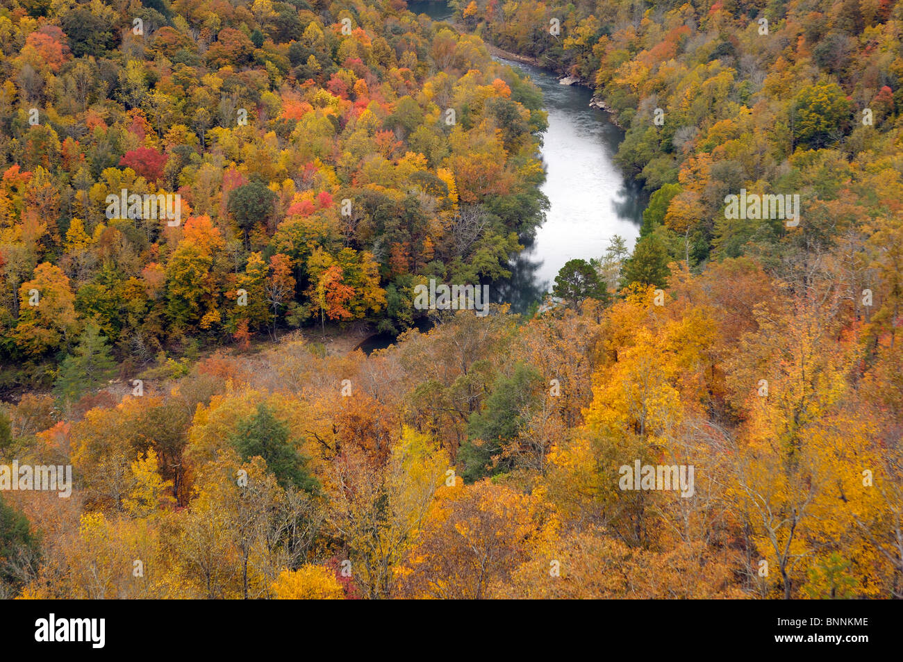 Trail Angel Falls Forest Fall colours colors Big South Fork National ...