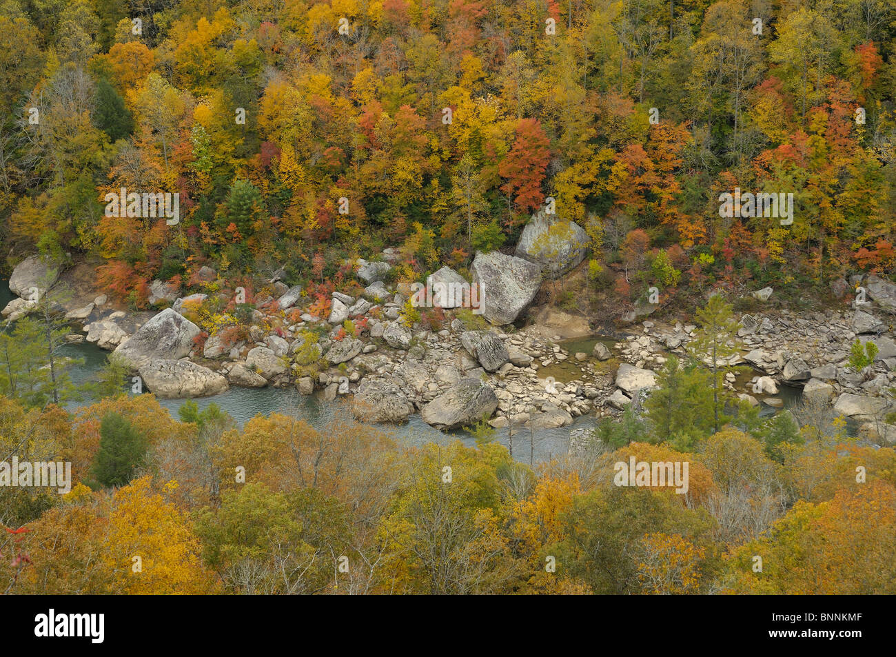Angel falls trail hi-res stock photography and images - Alamy