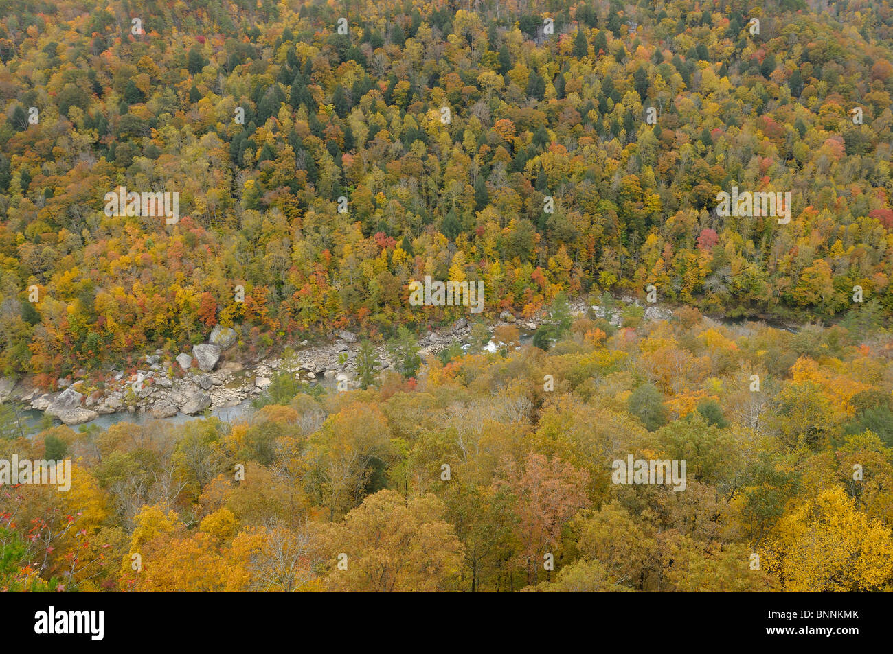 Angel falls trail hi-res stock photography and images - Alamy